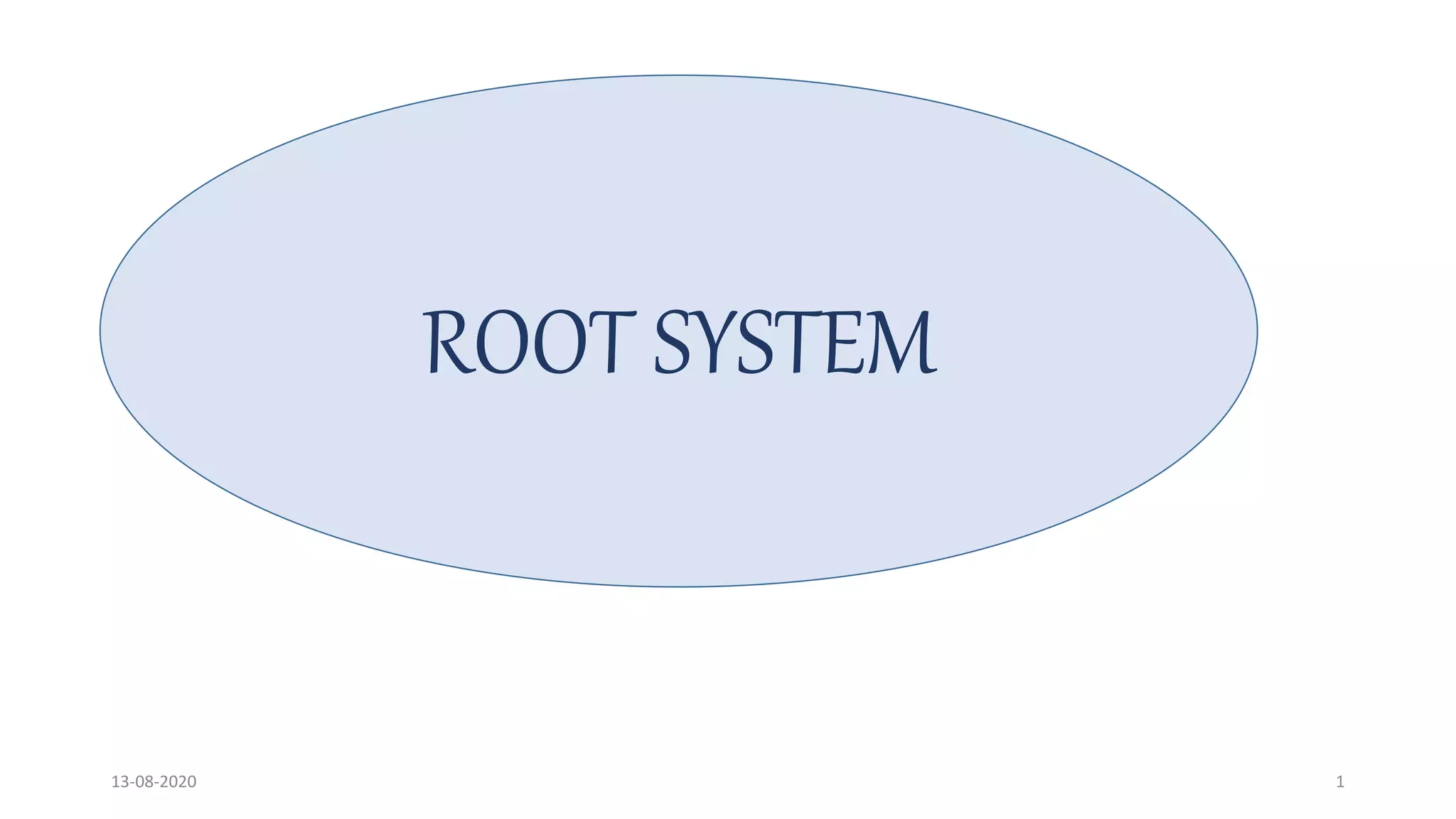 Root and shoot system of Angiosperm plants. - By Dr. Amutha Swaminathan ...