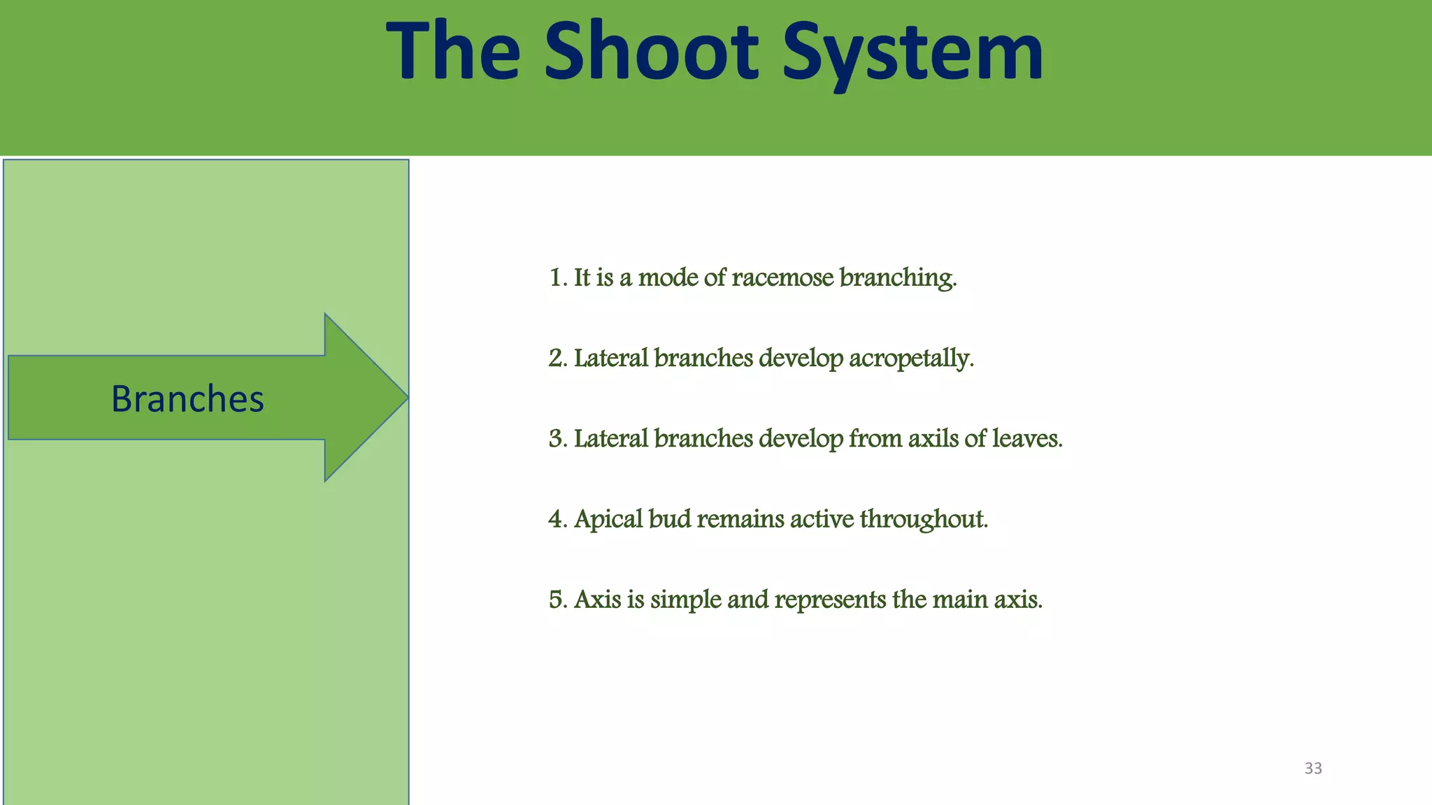 Root and shoot system of Angiosperm plants. - By Dr. Amutha Swaminathan ...