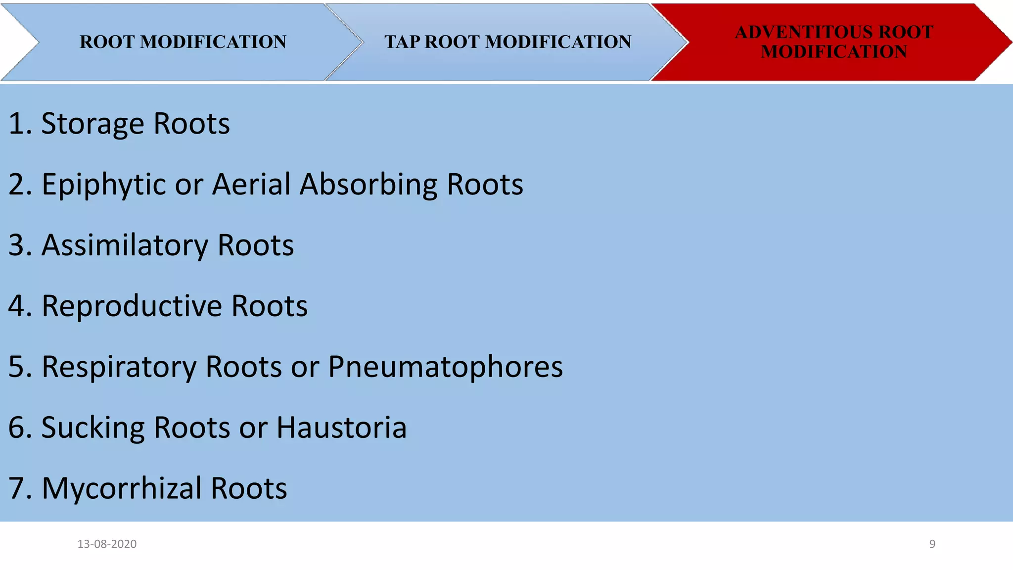 Root and shoot system of Angiosperm plants. - By Dr. Amutha Swaminathan ...
