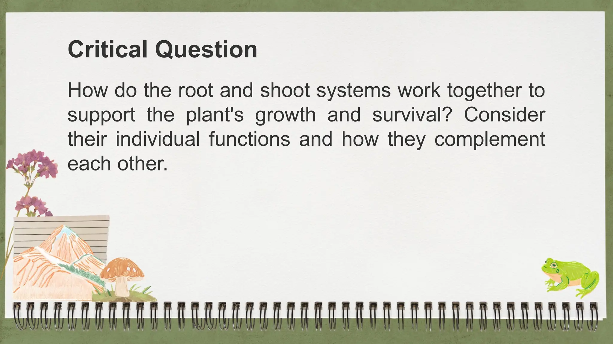 Plants Root and Shoot Systems-GRADE 4.pptx