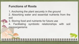 Plants Root and Shoot Systems-GRADE 4.pptx