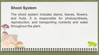 Plants Root and Shoot Systems-GRADE 4.pptx