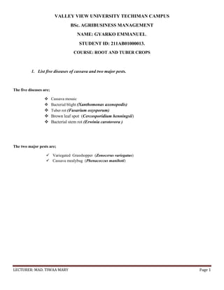 Root and tuber by gyarko | DOCX | Agriculture | Industries