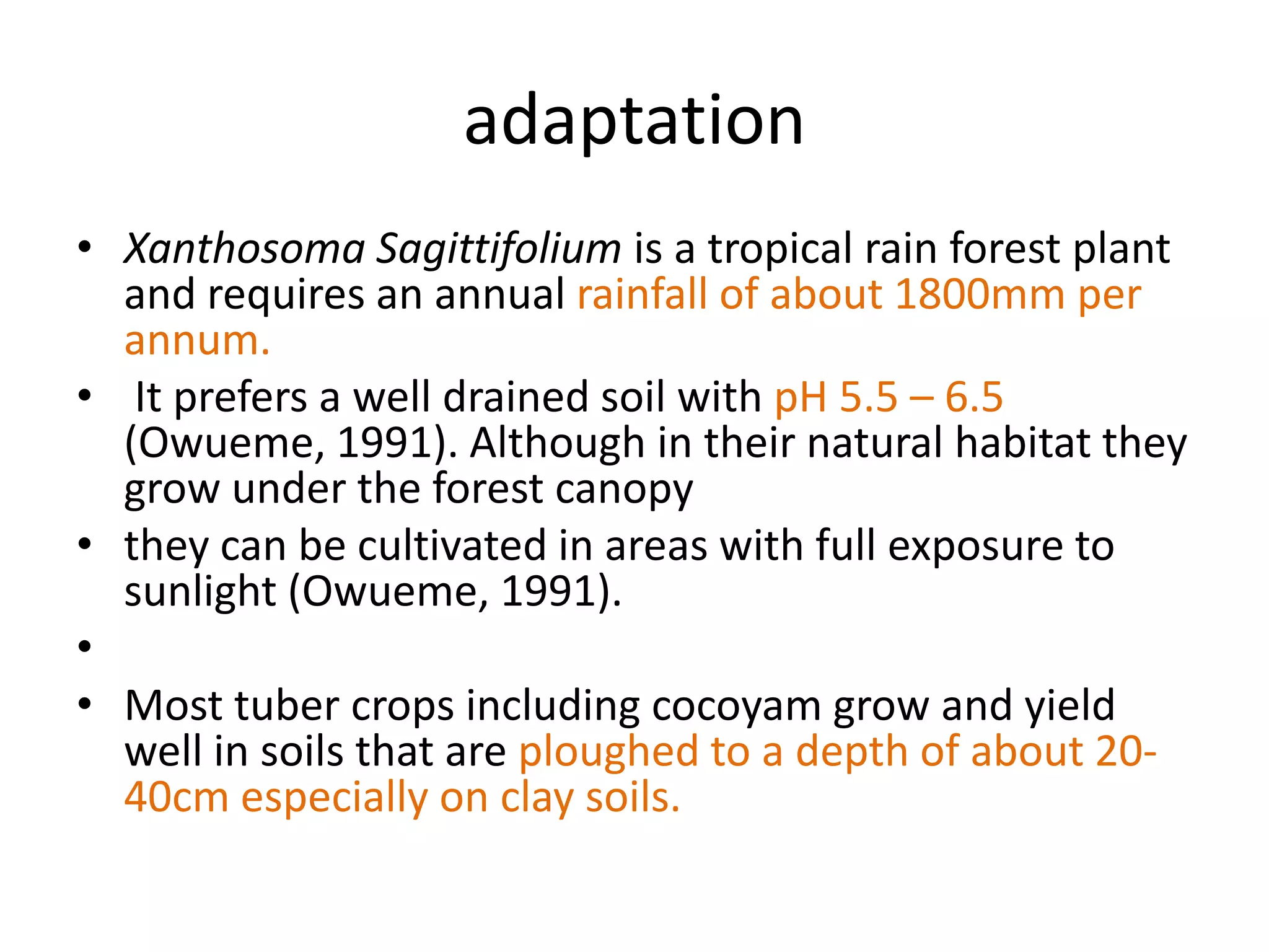 Root and tuber crops.pptx vvu | PPTX