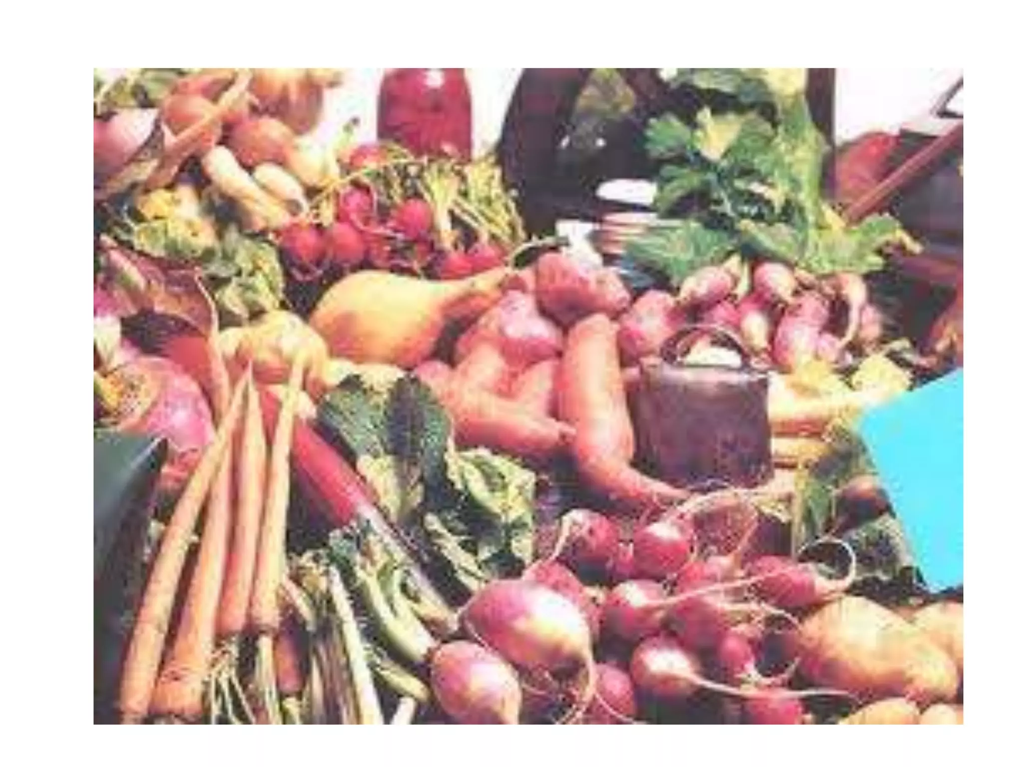 Root and tuber crops.pptx vvu | PPTX