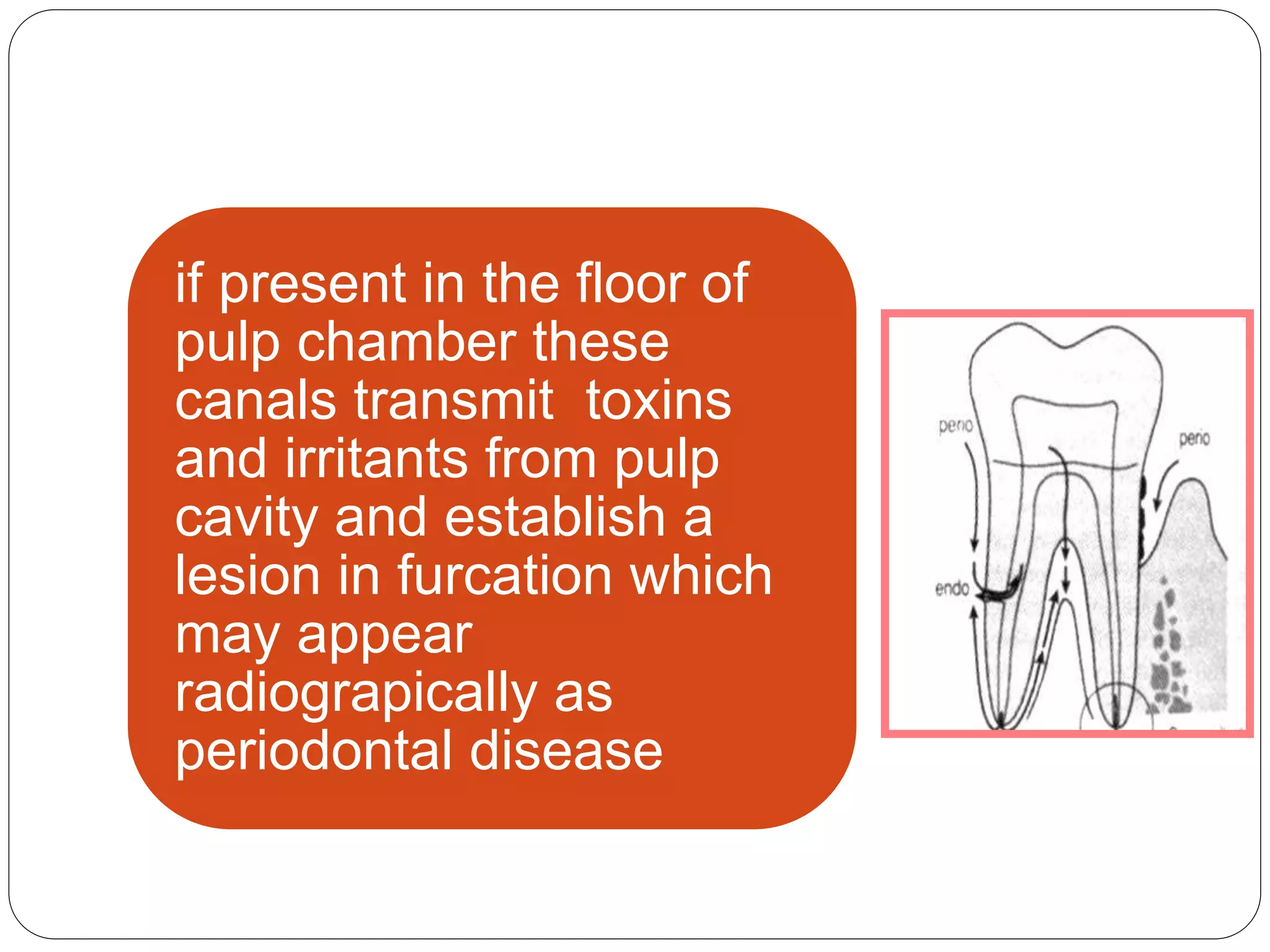 Root apex and working length determination | PPTX