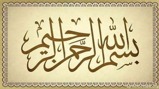 Root apex organization | PPTX