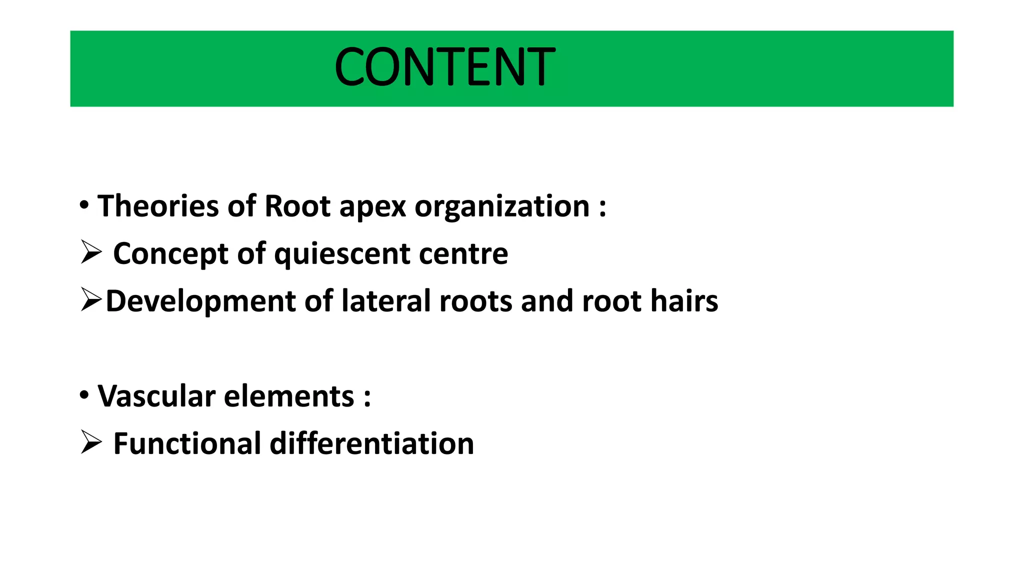 Root apex and vasculer elements | PPT