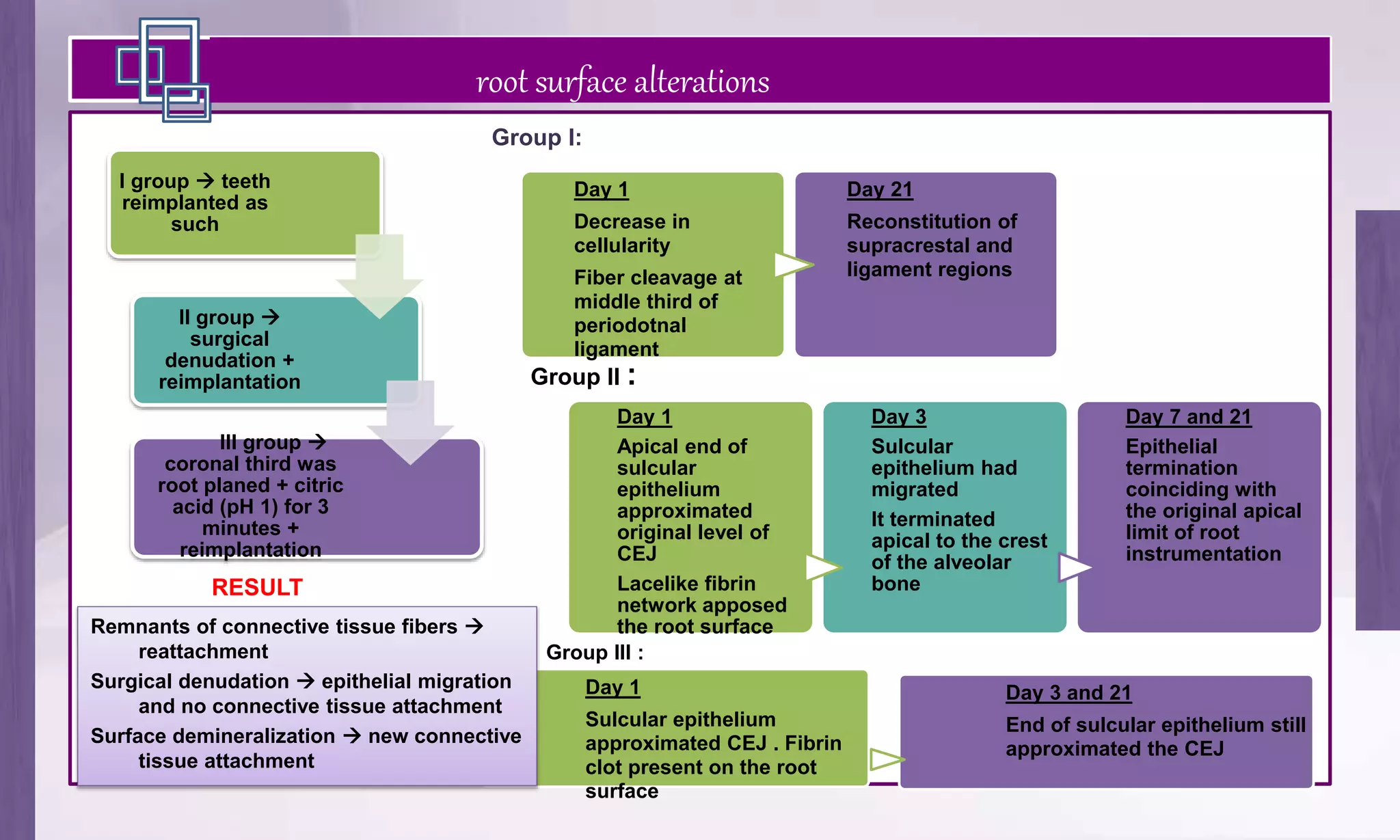 Root biomodification | PPT