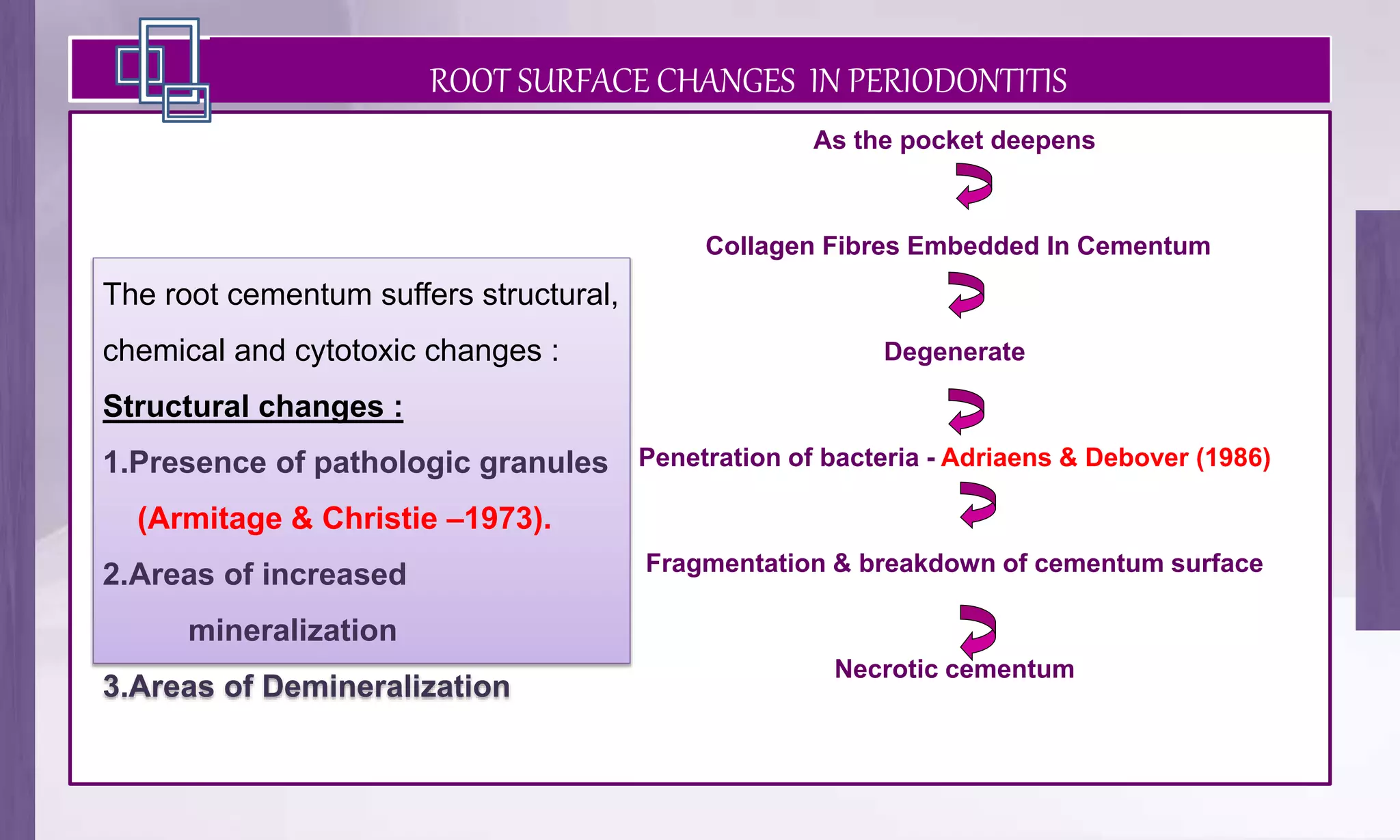 Root biomodification | PPT