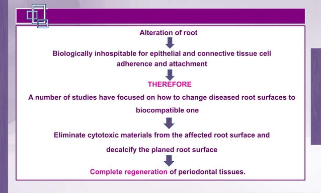 Root biomodification | PPT