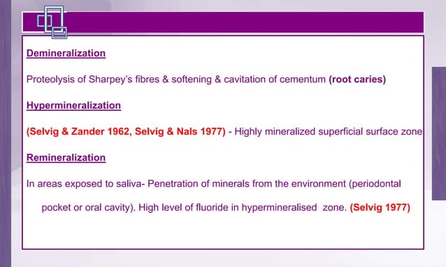 Root biomodification | PPT