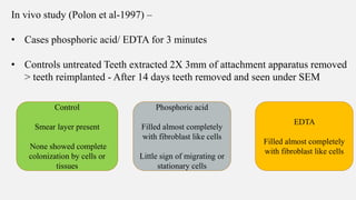 ROOT BIOMODIFICATION | PPTX
