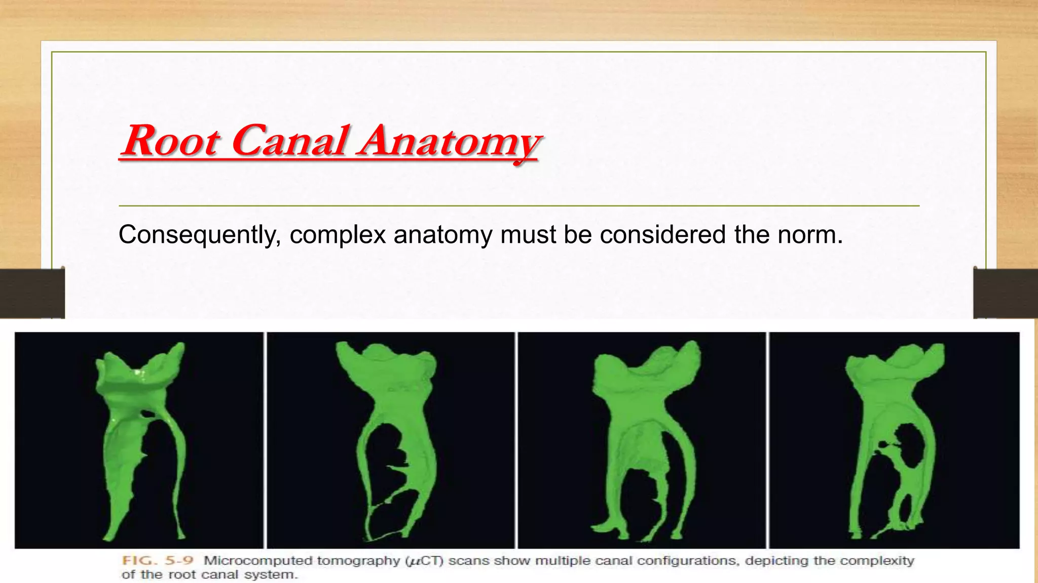 Root canal anatomy | PPTX