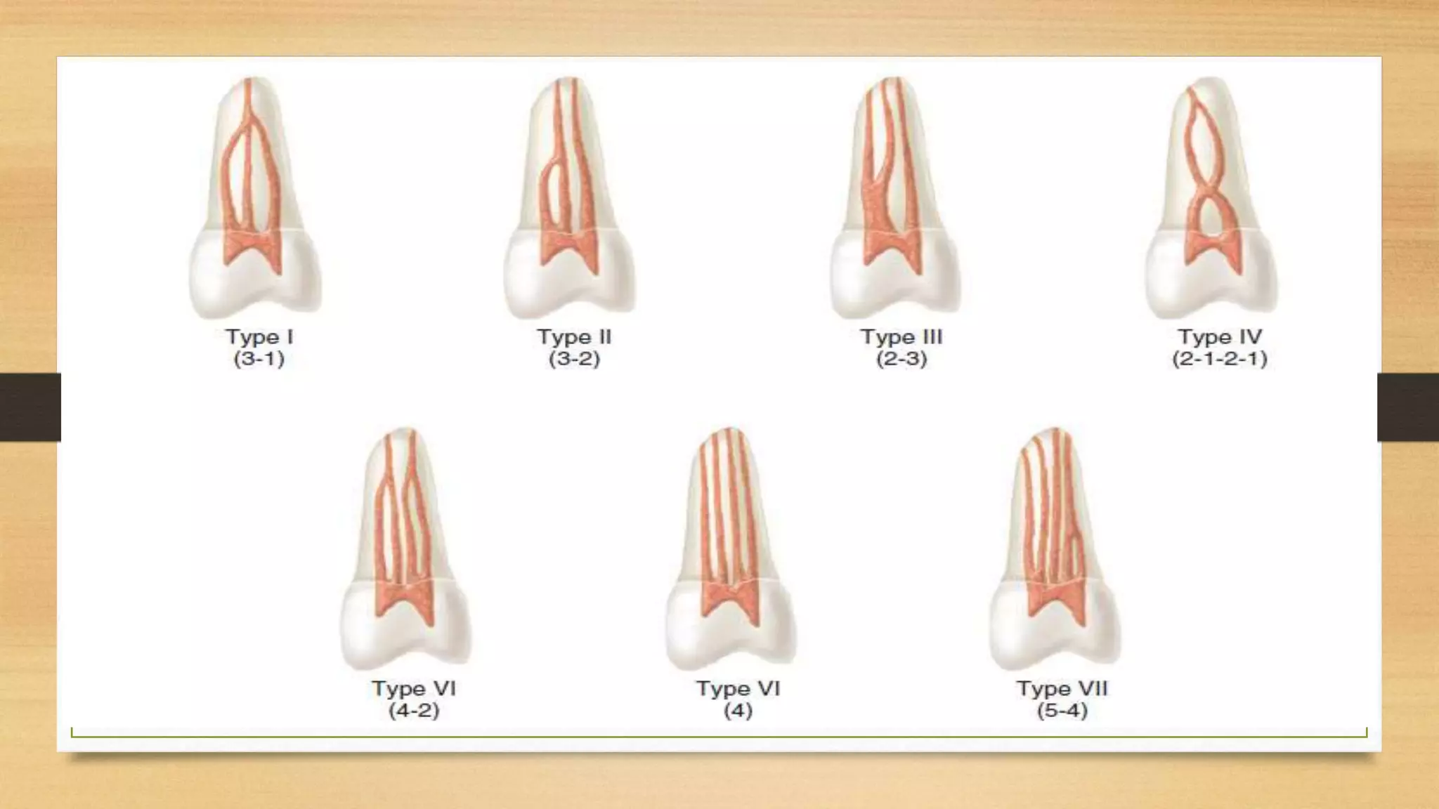 Root canal anatomy | PPTX
