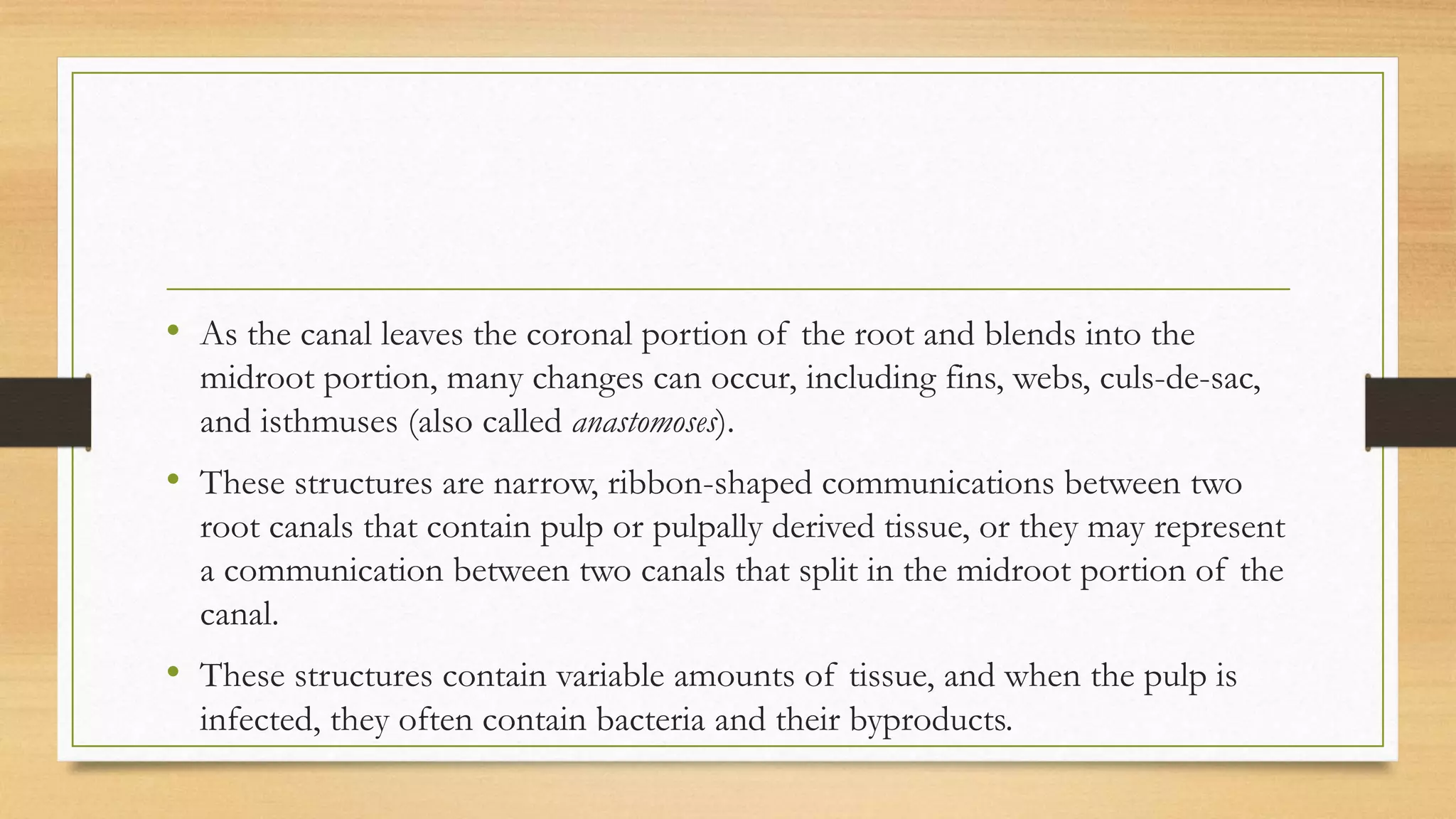 Root canal anatomy | PPTX