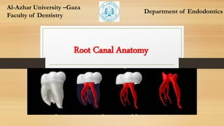 Root canal anatomy | PPTX