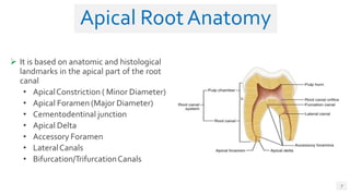 rootcanalanatomy-190808050207.pptx