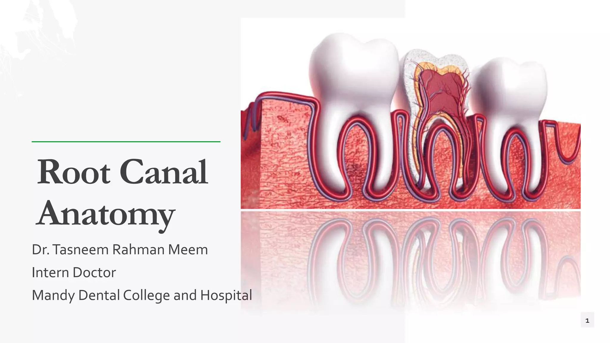 Root canal anatomy | PPTX