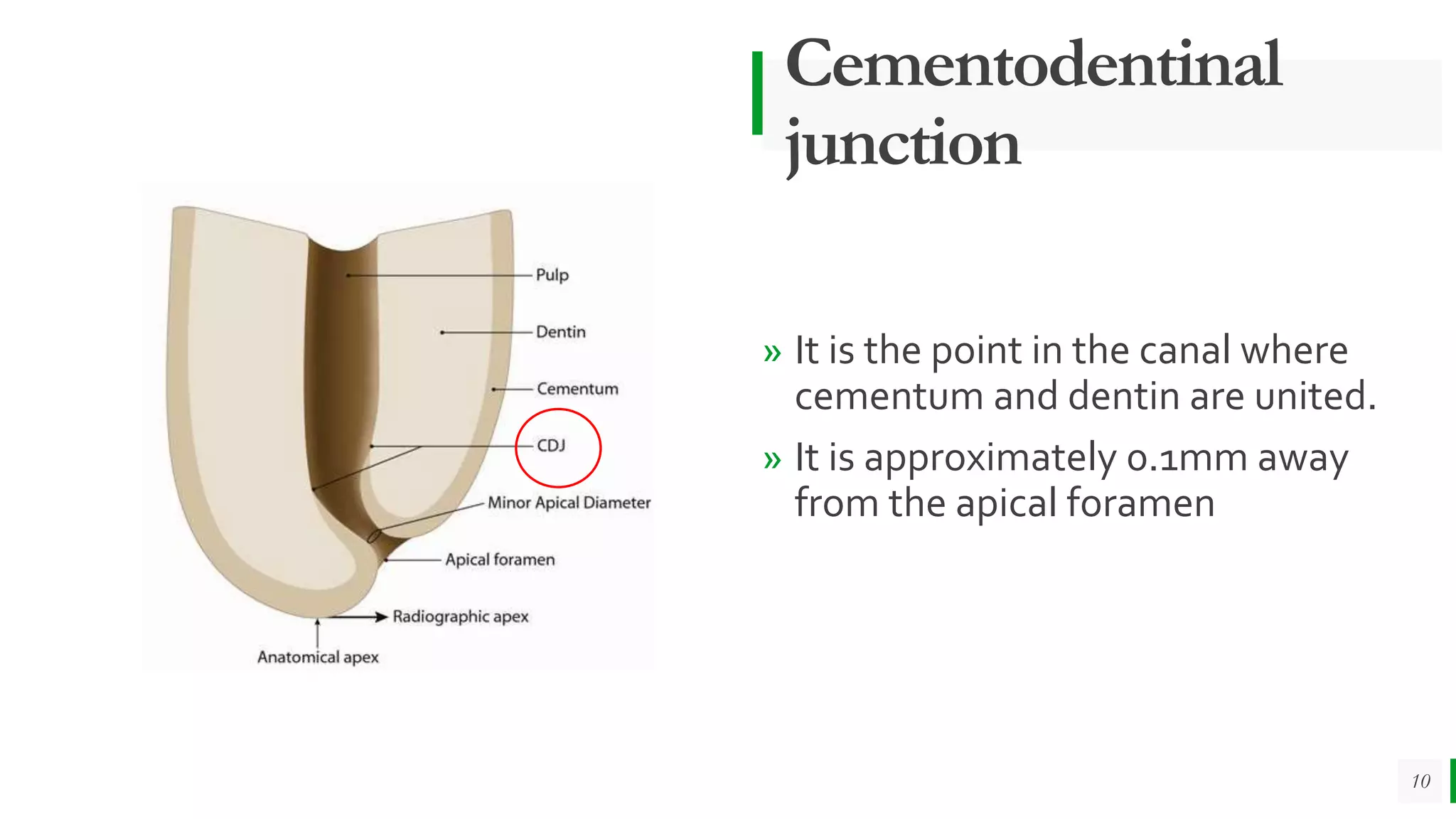 Root canal anatomy | PPTX