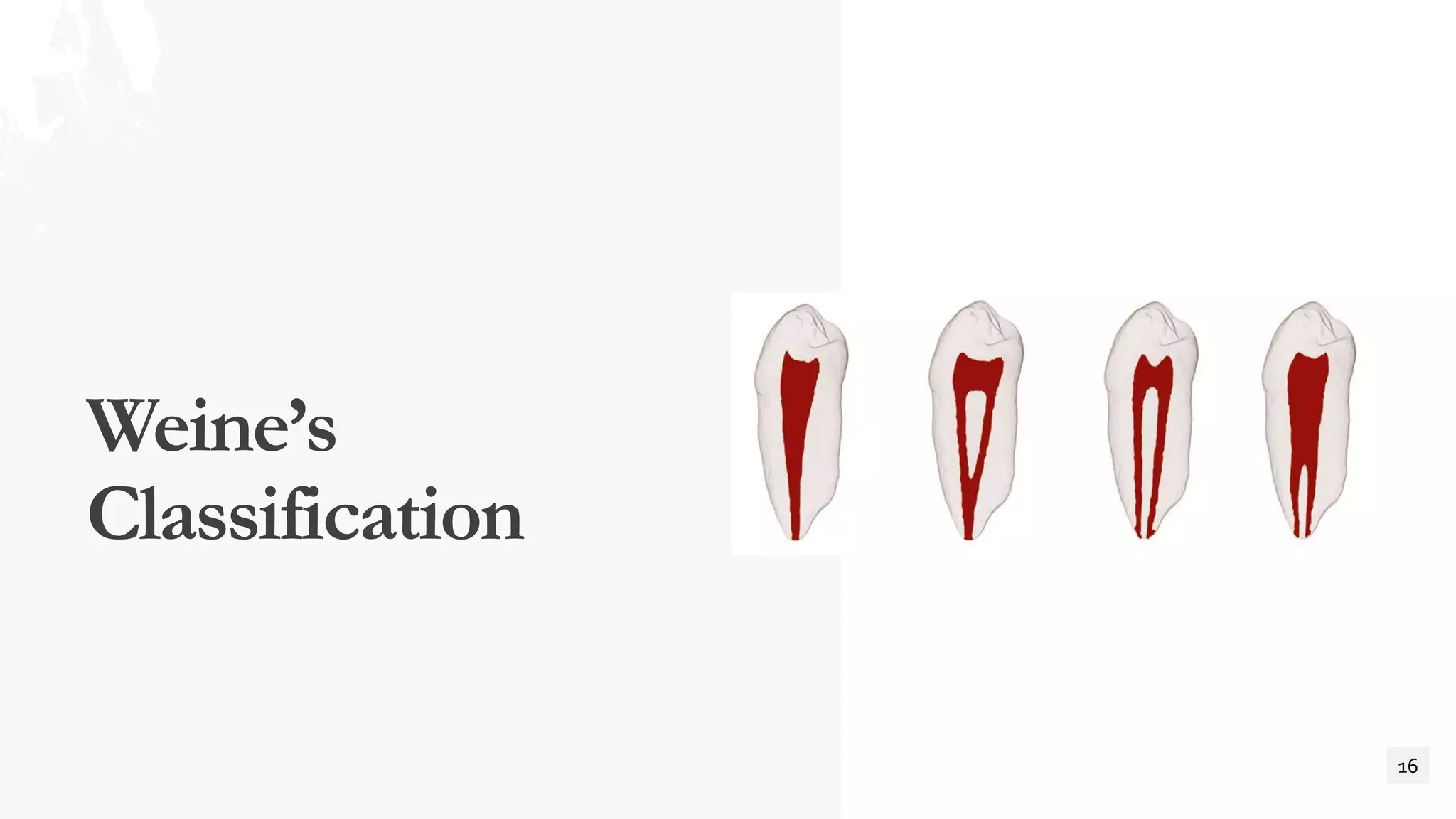Root canal anatomy | PPTX