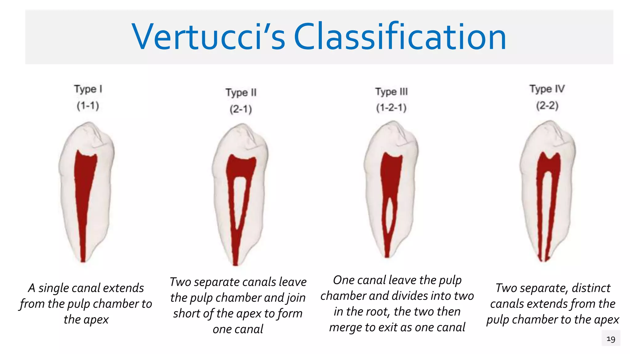 Root canal anatomy | PPTX