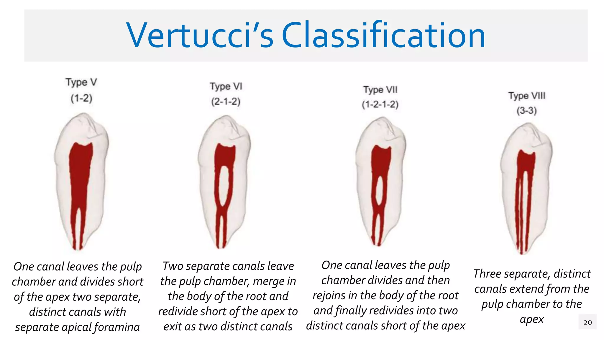 Root canal anatomy | PPTX