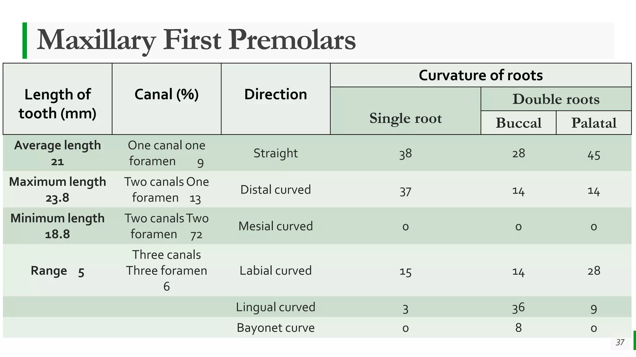 Root canal anatomy | PPTX