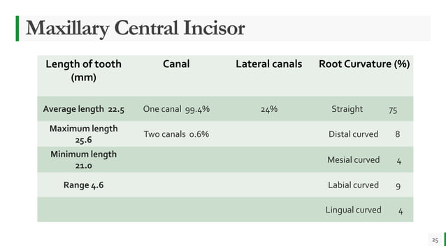 Root canal anatomy | PPTX | Dental Health | Diseases and Conditions