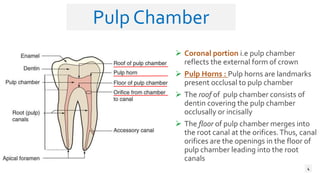 Root canal anatomy | PPTX