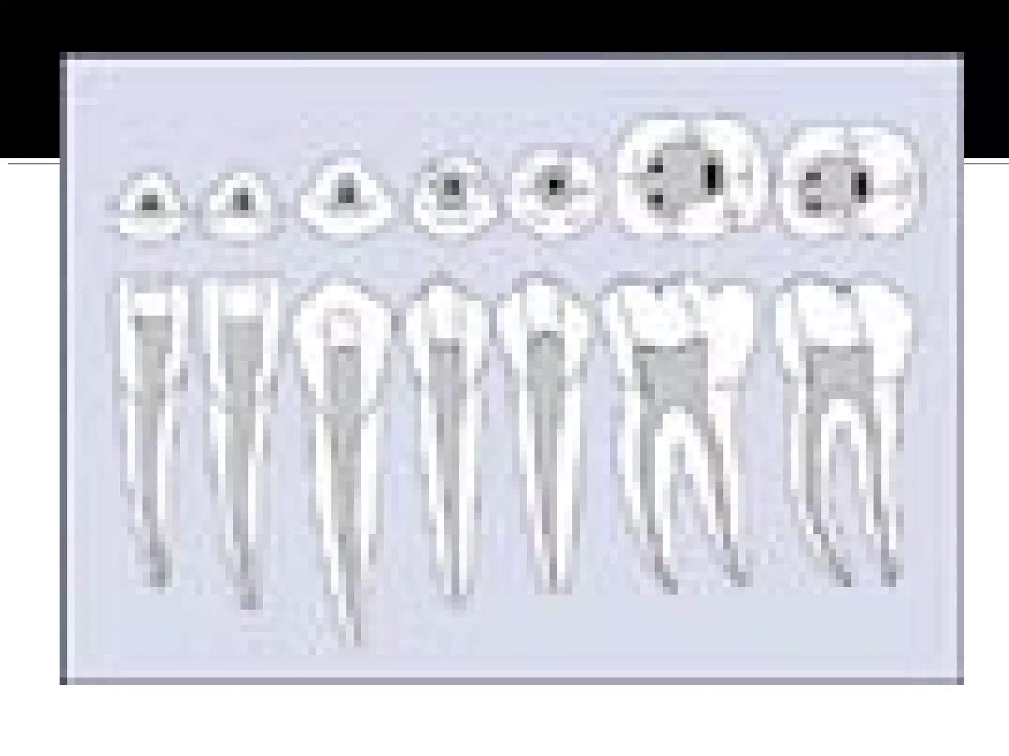 Root canal anatomy and access cavities | PPT