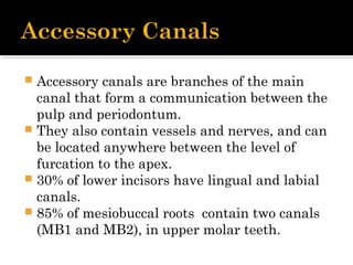 Root canal anatomy and access cavities | PPT
