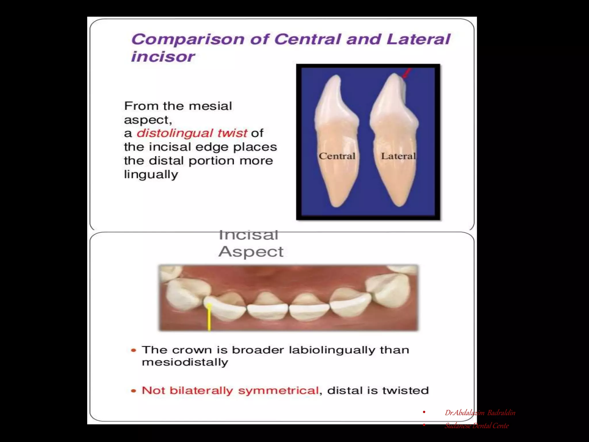 Root canal anatomy and configuration project mandibular teeth ...