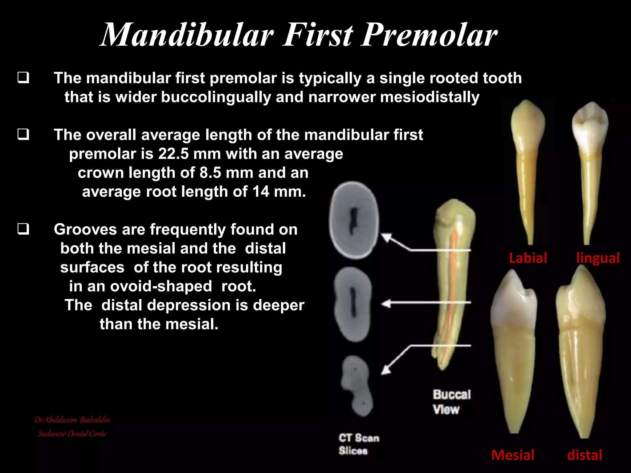 Root canal anatomy and configuration project mandibular teeth ...