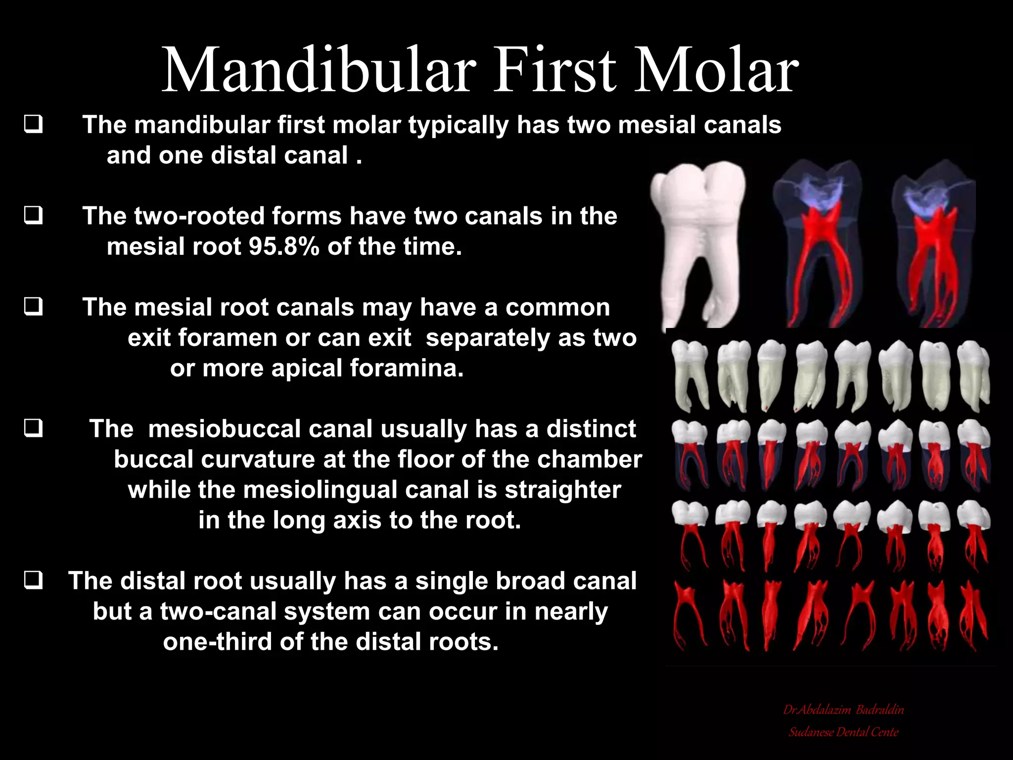 Root canal anatomy and configuration project mandibular teeth ...
