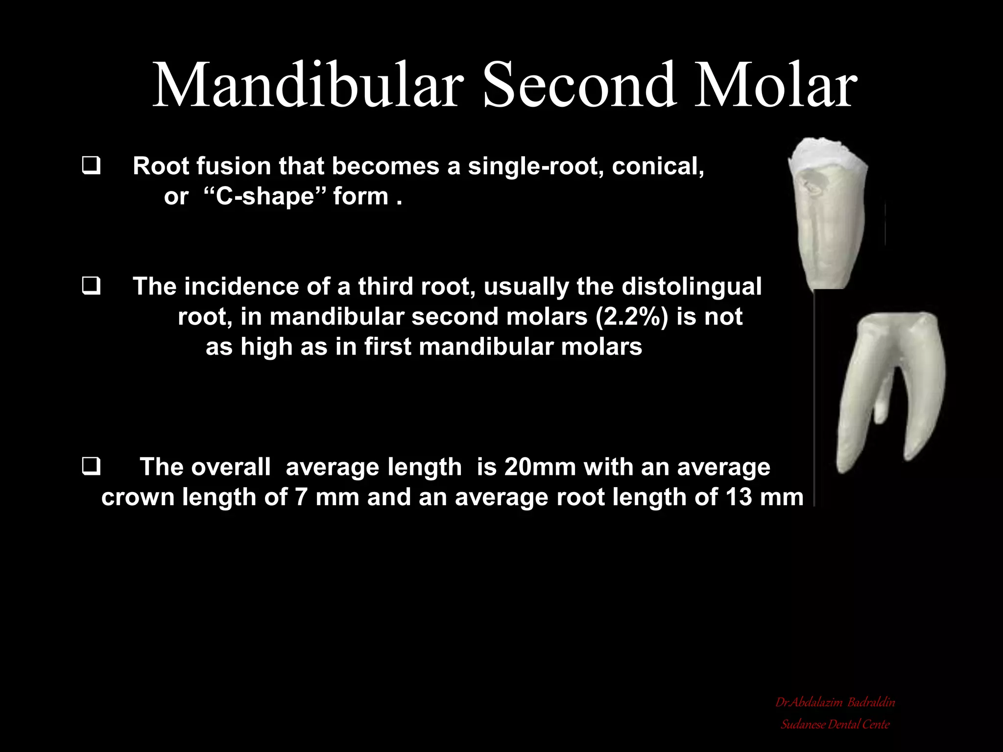 Root canal anatomy and configuration project mandibular teeth ...