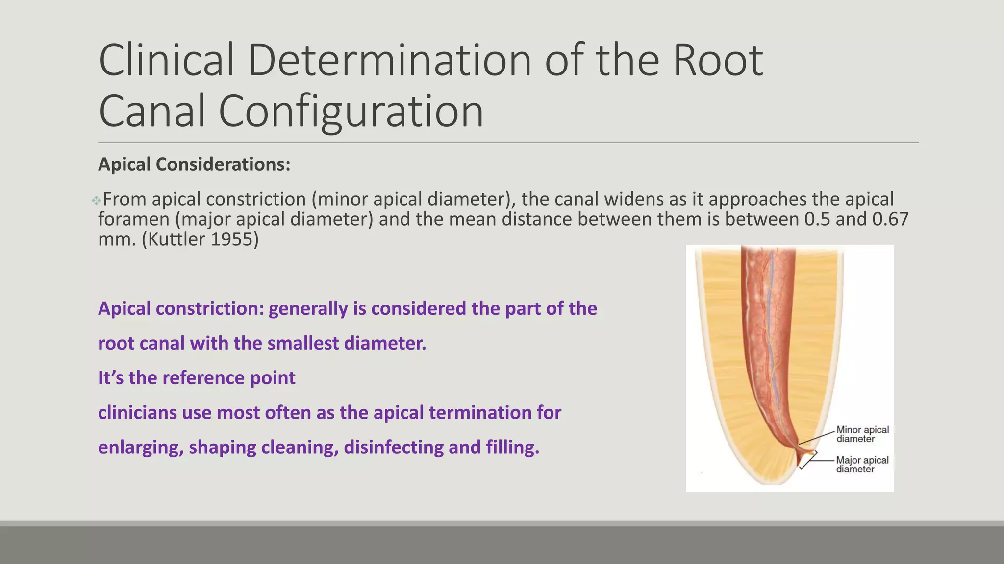 Root canal anatomy for anterior teeth | PPTX