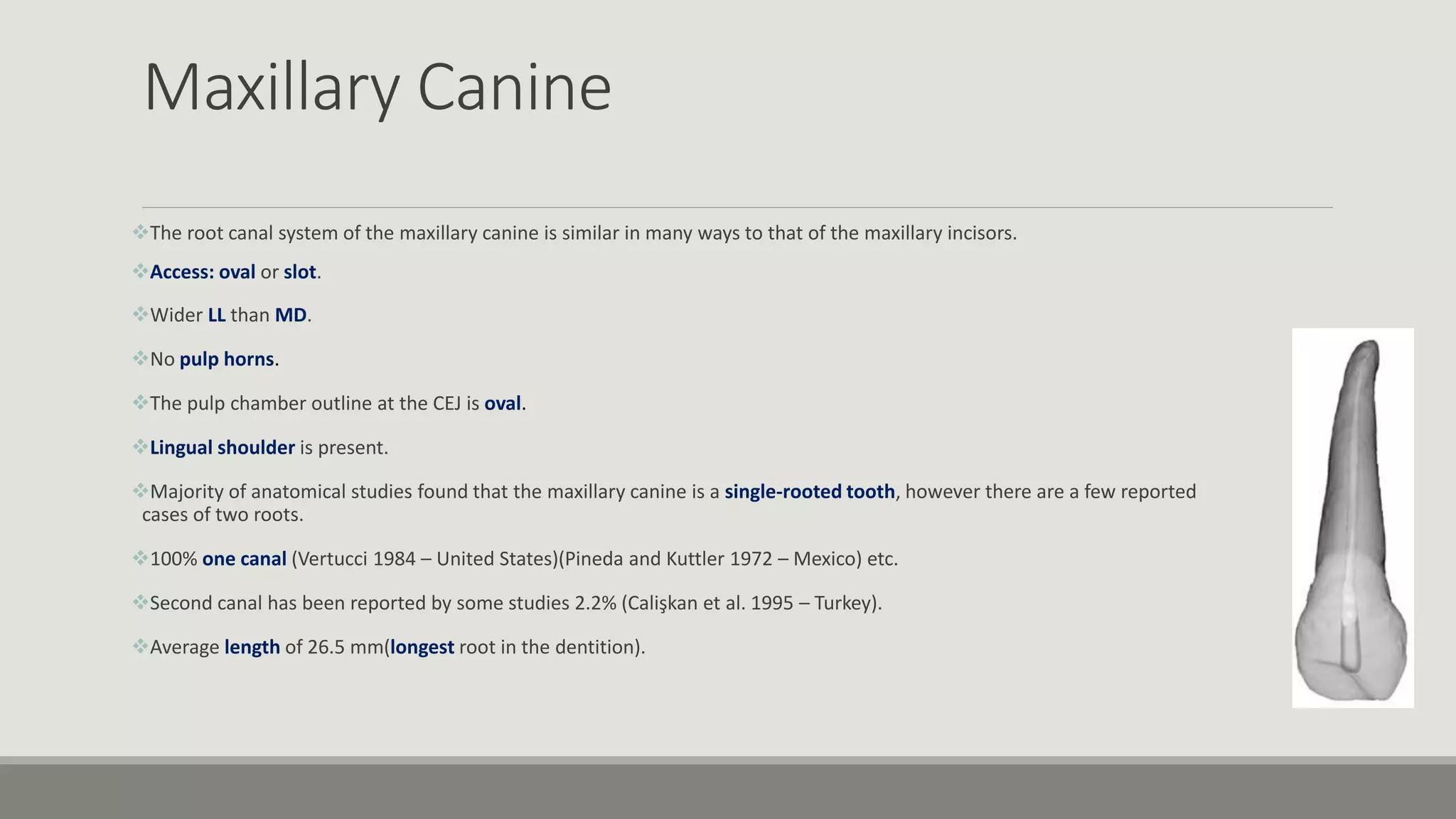 Root canal anatomy for anterior teeth | PPTX