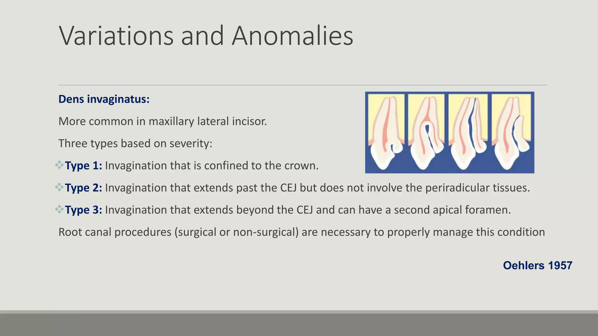 Root canal anatomy for anterior teeth | PPTX