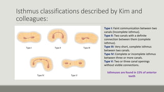 Root canal anatomy for anterior teeth | PPTX