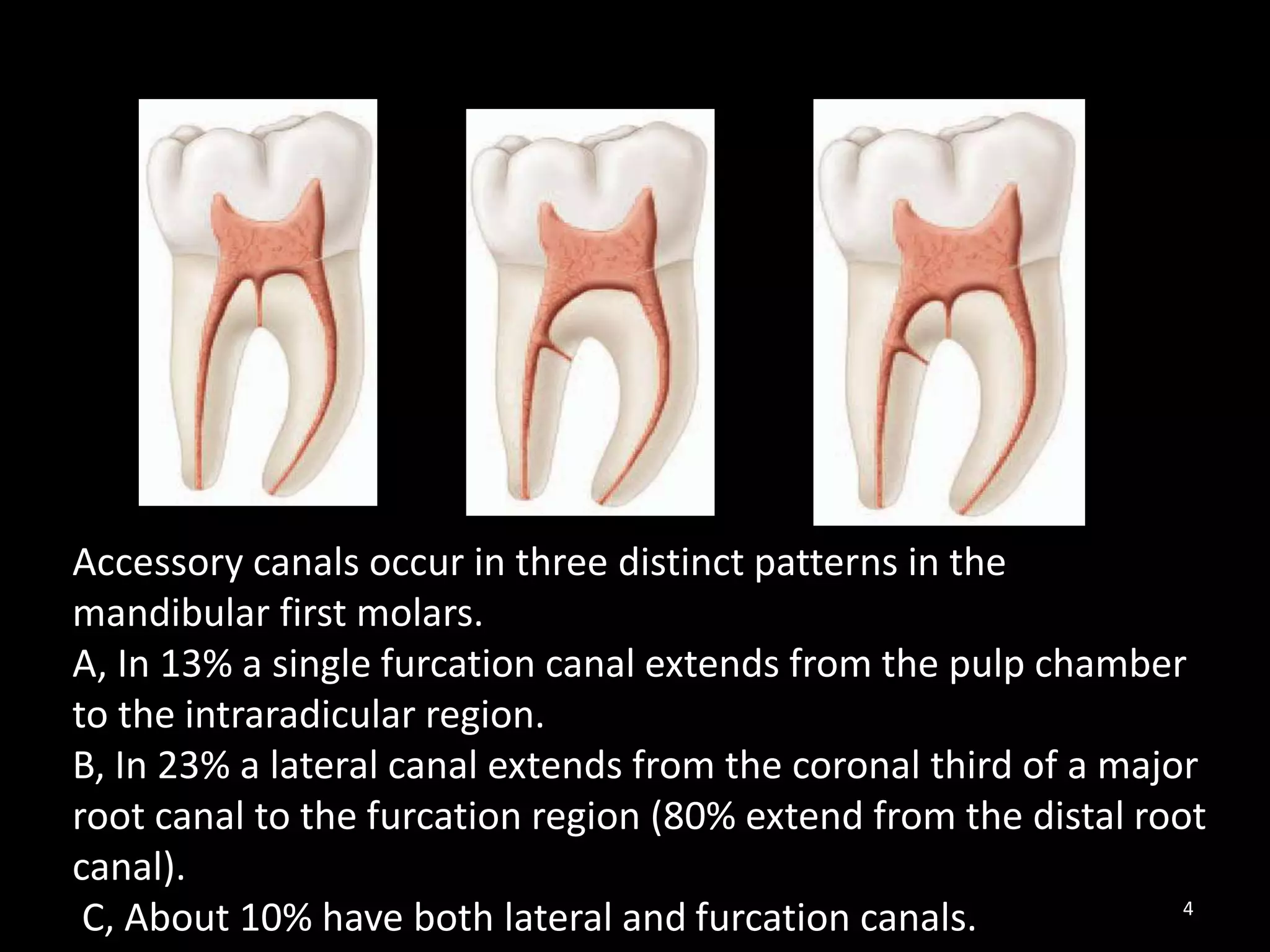 Root canal morphology nidhi | PPTX
