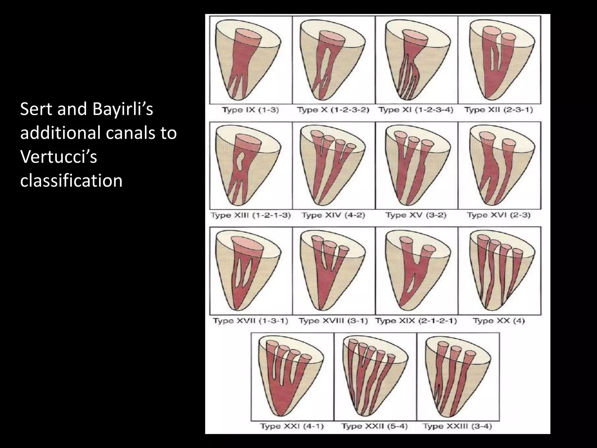Root canal morphology nidhi | PPTX