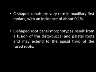Root canal morphology nidhi | PPTX