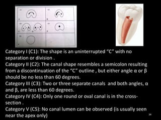 Root canal morphology nidhi | PPTX
