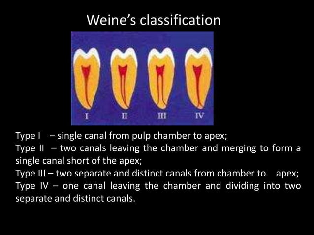 Root canal morphology nidhi | PPTX