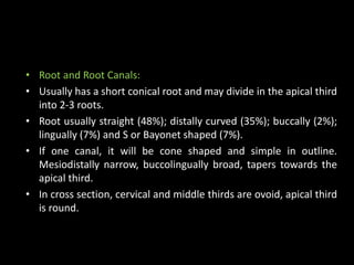 Root canal morphology nidhi | PPTX