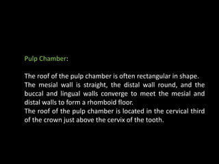 Root canal morphology nidhi | PPTX