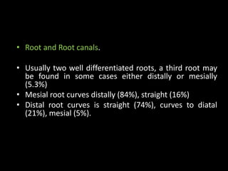 Root canal morphology nidhi | PPTX
