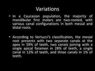 Root canal morphology nidhi | PPTX