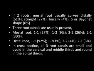 Root canal morphology nidhi | PPTX